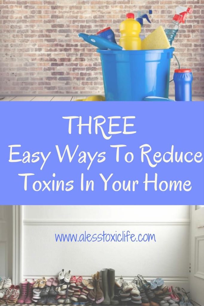3 Natural Ways to Reduce Toxins in Your Home - A Less Toxic LifeA Less ...