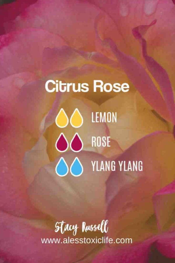 9 Amazing Uses And Benefits Of Rose Essential Oil plus DIY Recipes - A ...