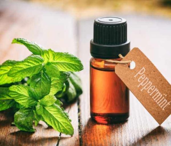 28 Best Essential Oils For Pain Relief - A Less Toxic LifeA Less Toxic Life