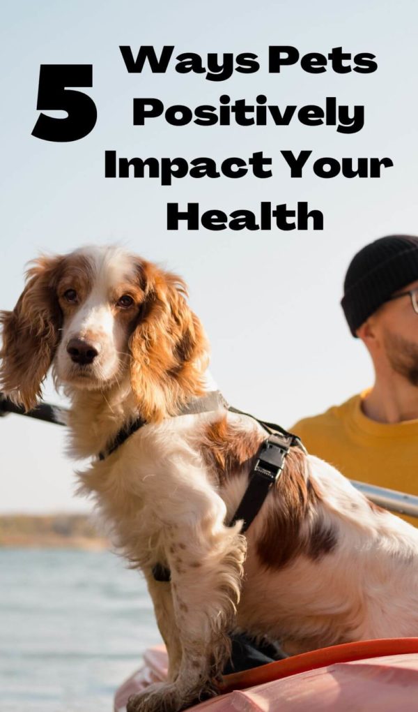 5 Ways Pets Positively Impact Total Health and Wellness - A Less Toxic ...