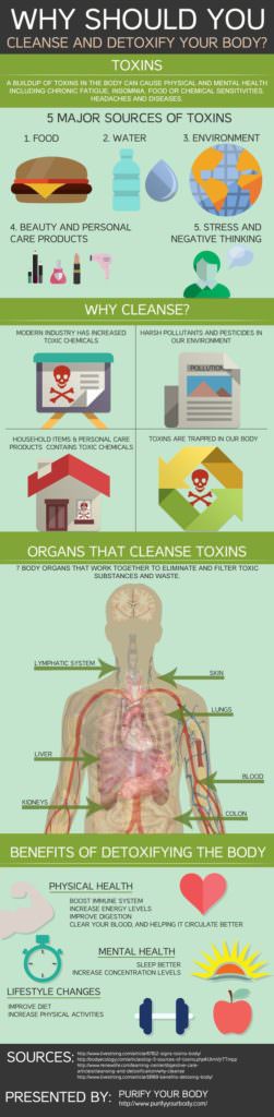 5 Sources of Toxins and the 7 Organs That Cleanse Them - A Less Toxic ...